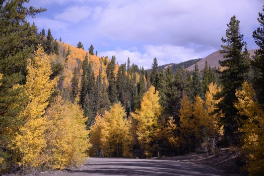 Solve Colorado Fall Colors 2022 - Boreas Pass jigsaw puzzle online with ...