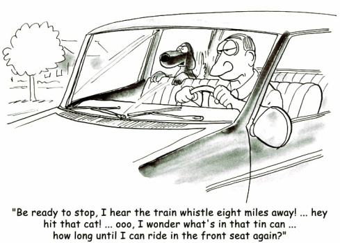 Solve THURSDAY THINK TANK - 4 OF 4 jigsaw puzzle online with 12 pieces