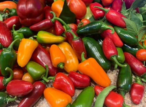 Solve peppers jigsaw puzzle online with 96 pieces