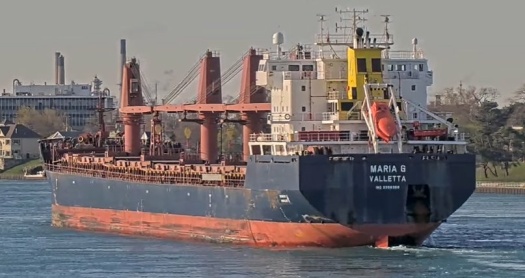 Solve Maria G jigsaw puzzle online with 66 pieces