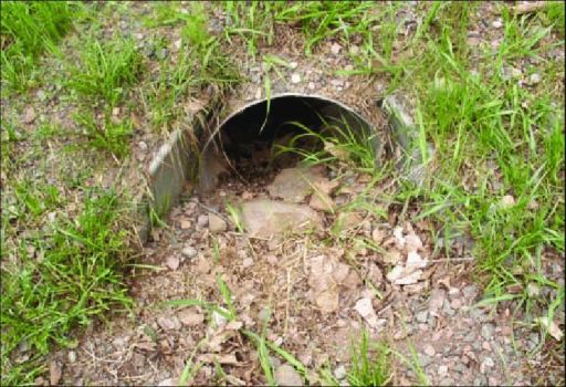 Solve Clogged Culvert jigsaw puzzle online with 35 pieces