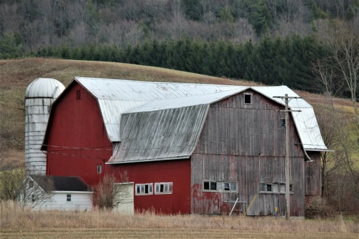 Solve Barn at end of dead end of Billy Mark's Road, NY jigsaw puzzle ...