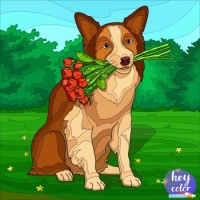 Animal puzzles | Jigidi.com