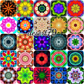 Solve kaleidos jigsaw puzzle online with 49 pieces