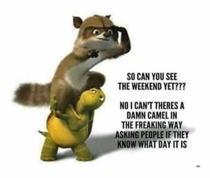 Solve mid week jigsaw puzzle online with 30 pieces