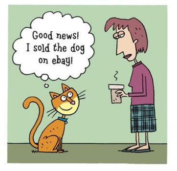 Solve DAILY FUNNY jigsaw puzzle online with 36 pieces