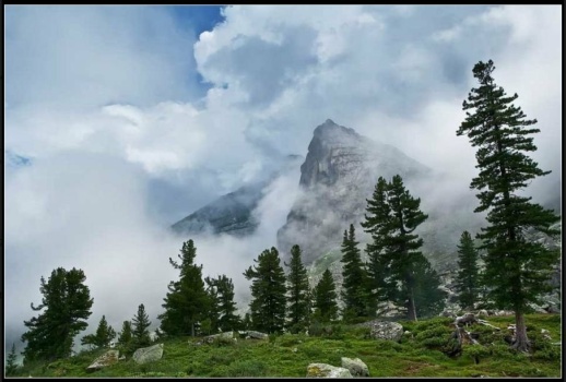 Solve Siberian Landscape - Copied from Internet jigsaw puzzle online ...