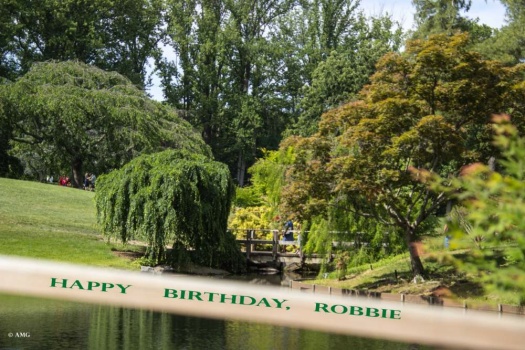 Solve Happy Birthday, Robbie (Porgy) jigsaw puzzle online with 12 pieces