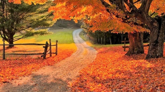 Solve Fall Scenery jigsaw puzzle online with 198 pieces