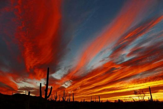 Solve Arizona flag jigsaw puzzle online with 150 pieces