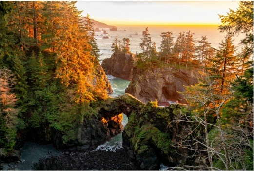 Solve Samuel H. Boardman Scenic corridor Oregon coast, USA jigsaw ...