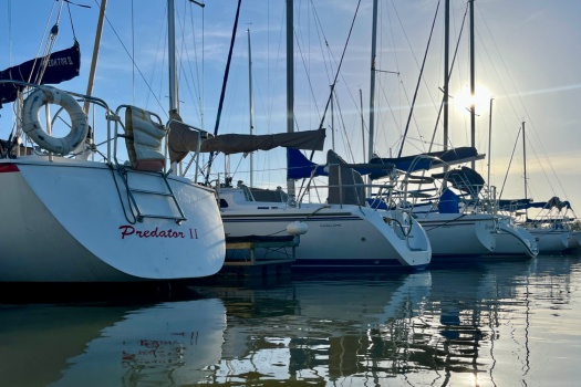 Solve Yacht club boats jigsaw puzzle online with 24 pieces