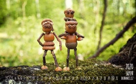 Solve Acorn Family jigsaw puzzle online with 12 pieces