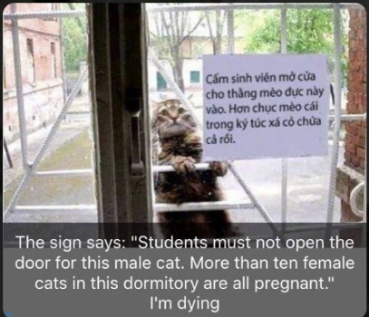 Solve The sign says it all--- jigsaw puzzle online with 42 pieces