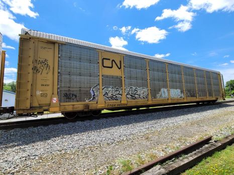 Solve Canadian National Autorack - TTGX 985994 jigsaw puzzle online ...