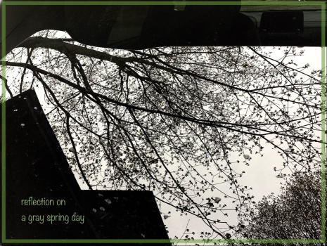 Solve April showers jigsaw puzzle online with 48 pieces