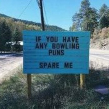 Solve If you have any bowling puns (Medium) jigsaw puzzle online with 9 ...