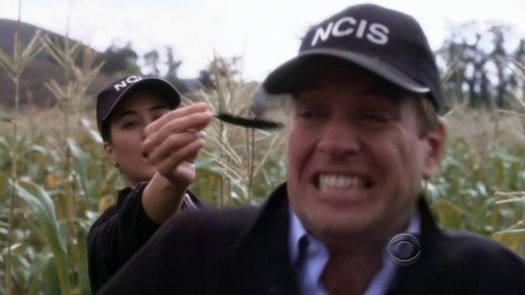 Solve Michael Weatherly plays Tony Dinozzo in NCIS jigsaw puzzle online ...