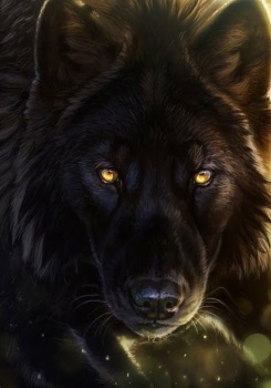 Solve Beautiful Black Wolf jigsaw puzzle online with 20 pieces