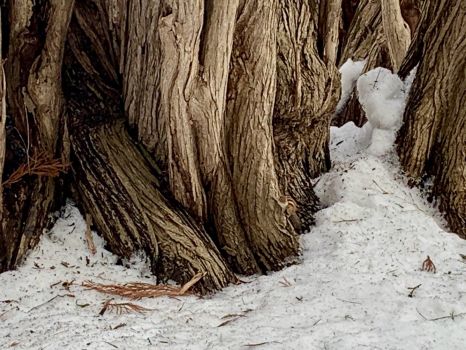 Solve Can you find me? jigsaw puzzle online with 88 pieces