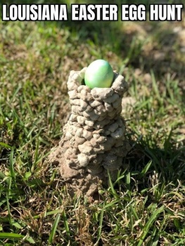 Solve Louisiana Easter Egg Hunt jigsaw puzzle online with 48 pieces