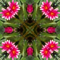 Free online jigsaw puzzles | Jigidi.com