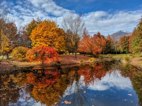 Solve reflections of fall jigsaw puzzle online with 108 pieces