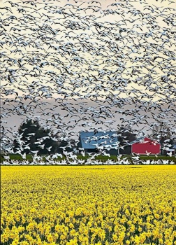 Solve Listen to the birds jigsaw puzzle online with 35 pieces